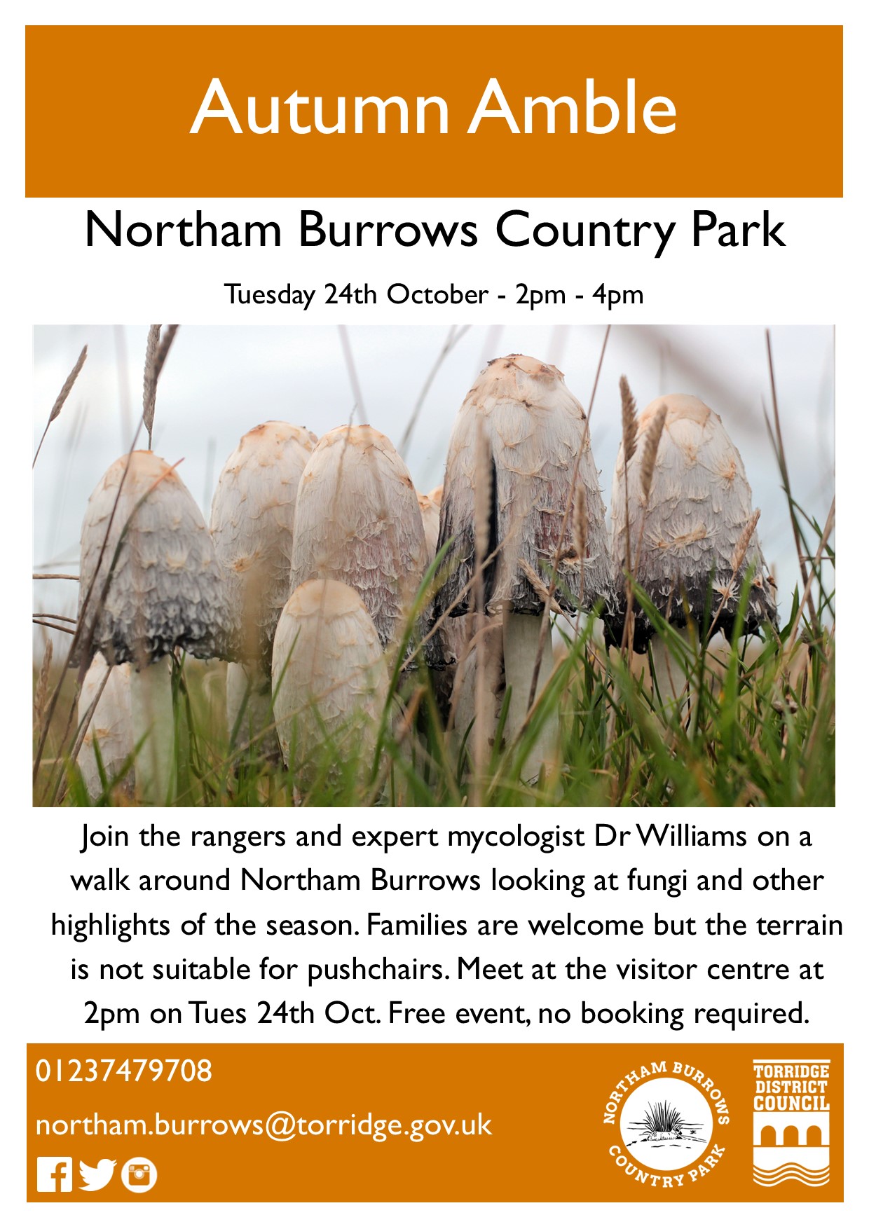 Autumn Amble – Northam Burrows Country Park – North Devon Coast